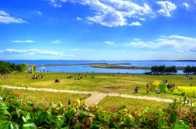 Decide on Kasai Sightseeing for Your Next Holiday! Top 10 Popular Spots ...