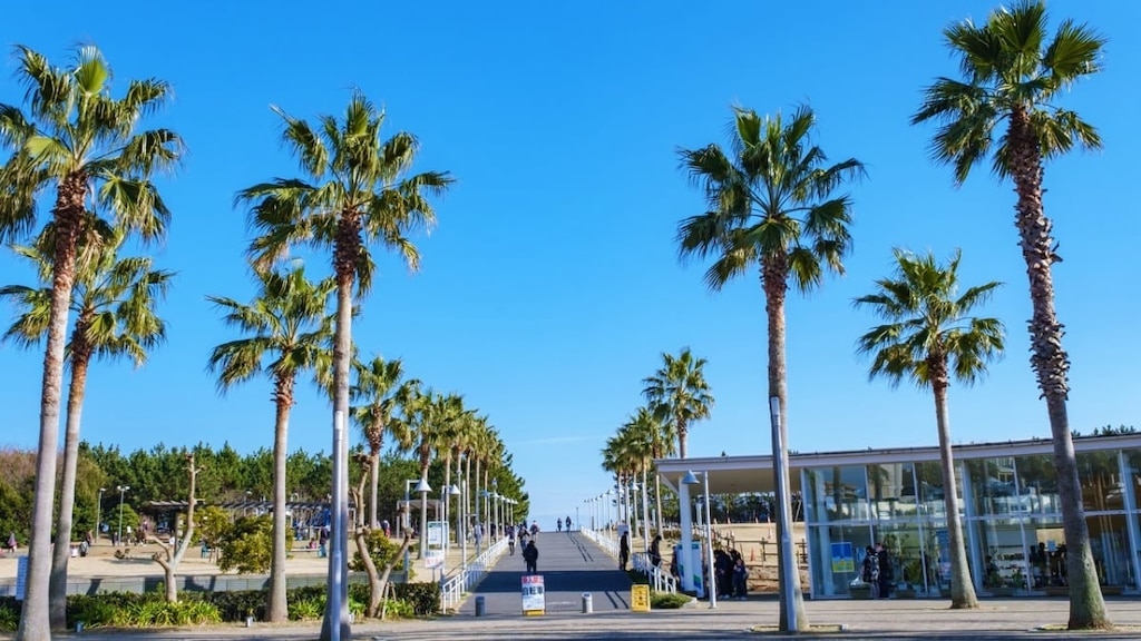 10 Must-See Tourist Spots in Urayasu: The Place to Enjoy the Bay Area ...