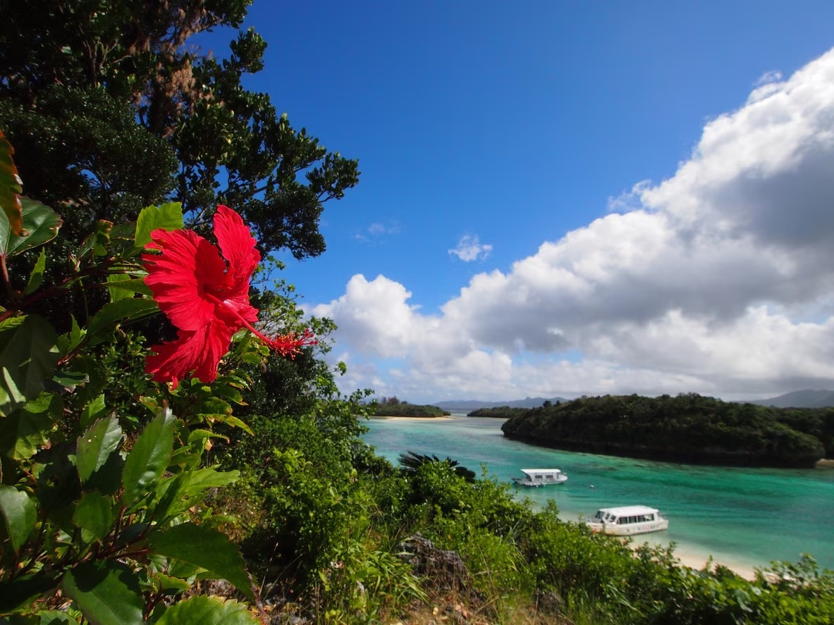 [Ishigaki Island] 20 scenic cafés! Packed with Instagram-worthy spots 💛 – skyticket Travel Guide