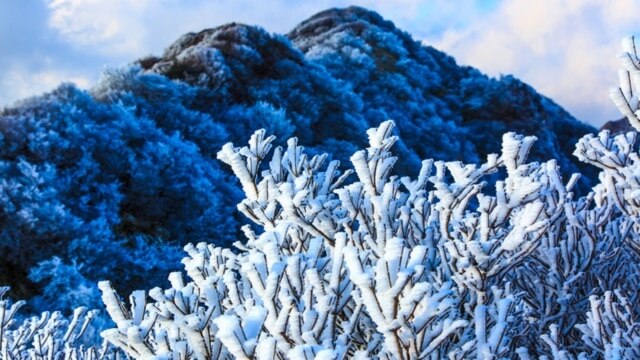 If it’s Nagasaki in winter! Introducing 4 winter-exclusive, charm ...